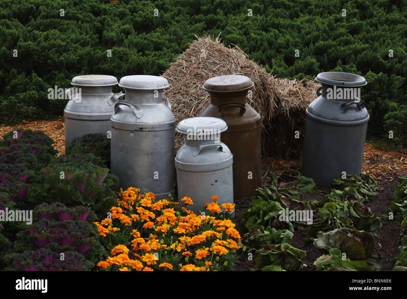 Crops containers hi-res stock photography and images - Alamy