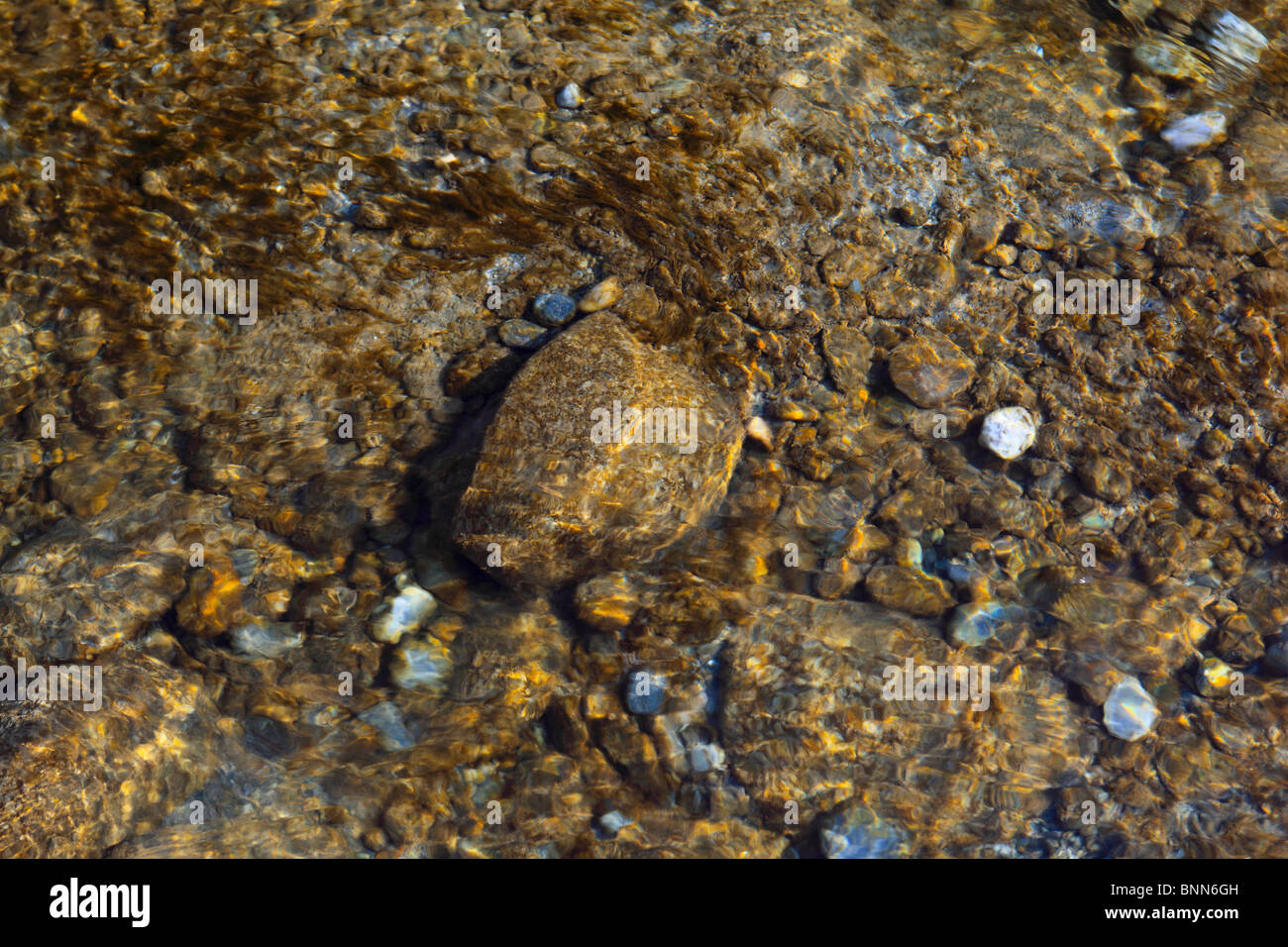 Well Rotten High Resolution Stock Photography and Images - Alamy