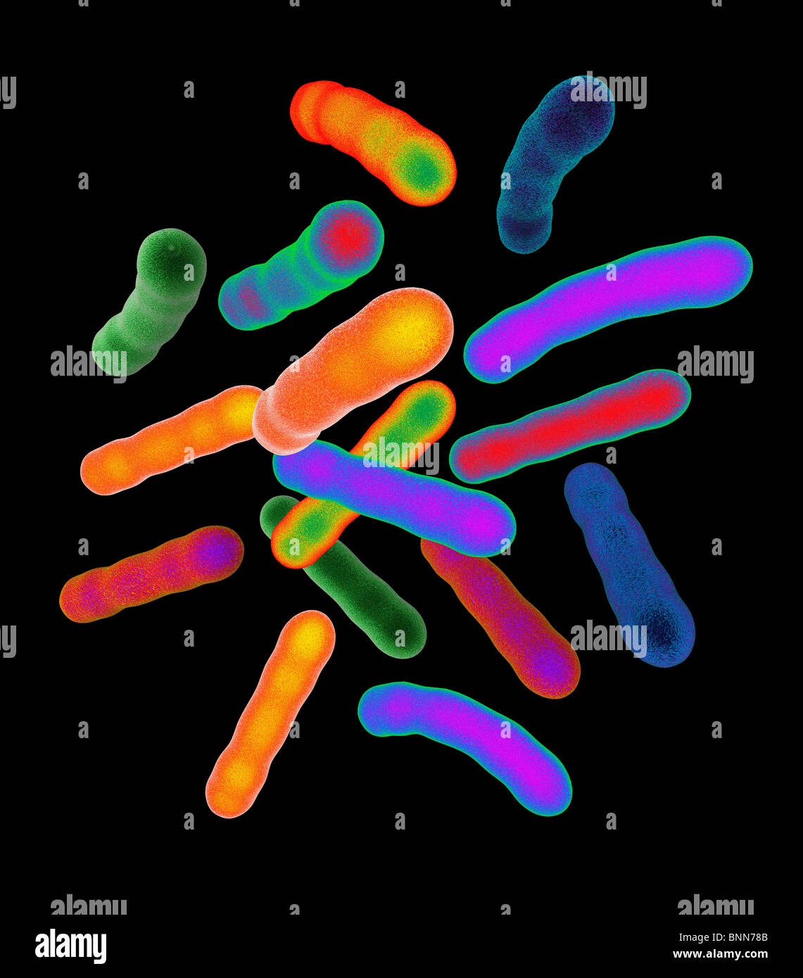 Tuberculosis bacteria, artwork Stock Photo - Alamy