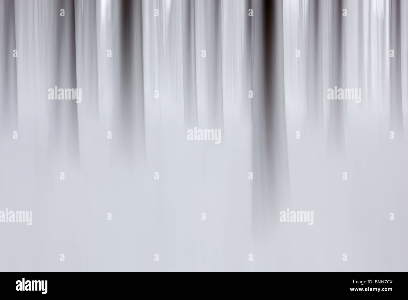 Tree trunk trunks trees effect ice print cold lines mixed forest nature ...