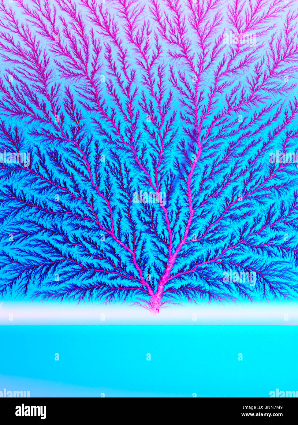 Electron tree hi-res stock photography and images - Alamy