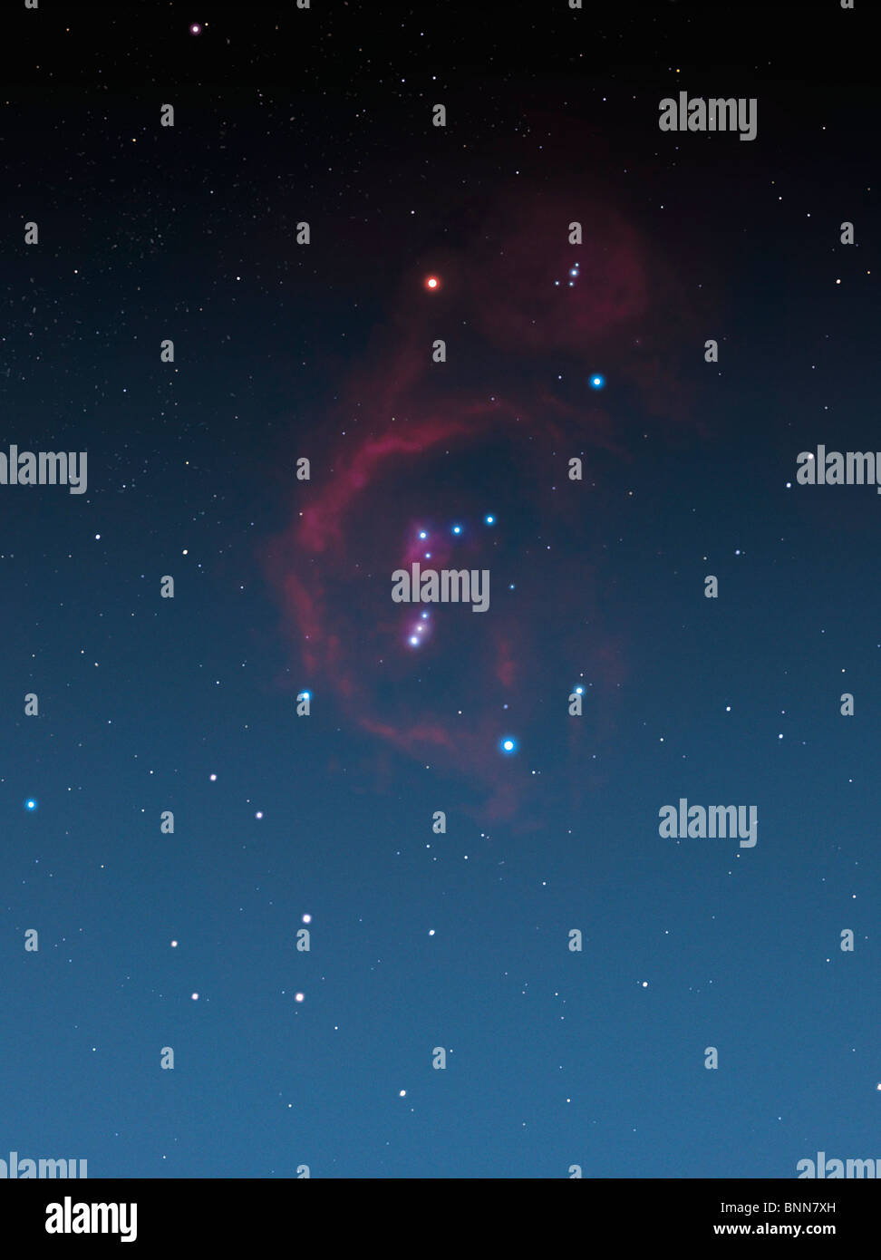Orion bathed in nebulosity, artwork Stock Photo - Alamy