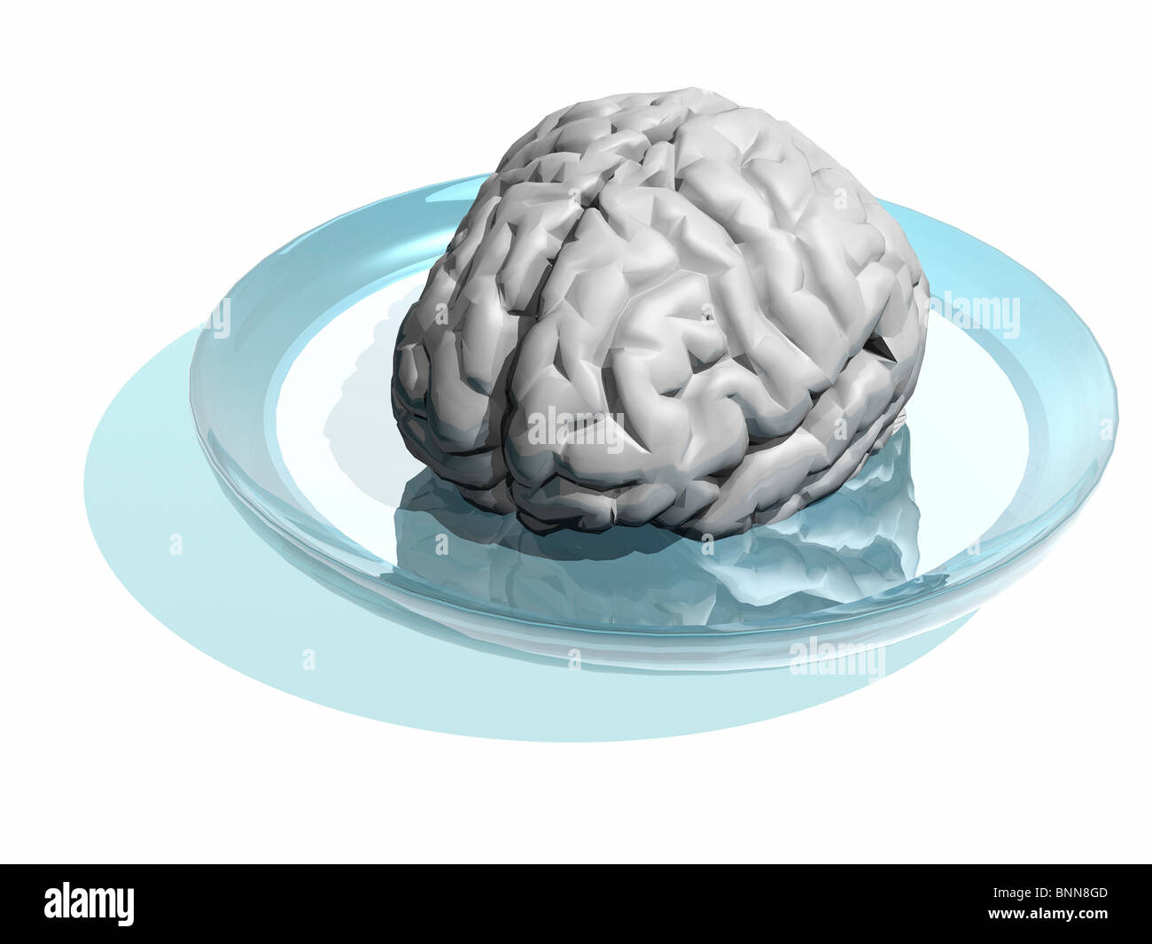 Brain health research Cut Out Stock Images & Pictures - Alamy