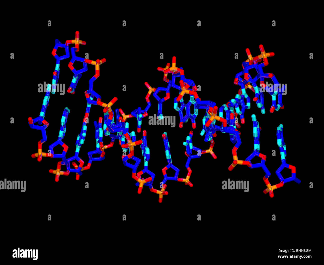 Dna structure painting hi-res stock photography and images - Alamy