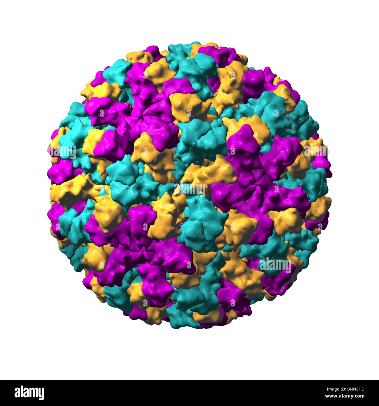 Norovirus particle Cut Out Stock Images & Pictures - Alamy