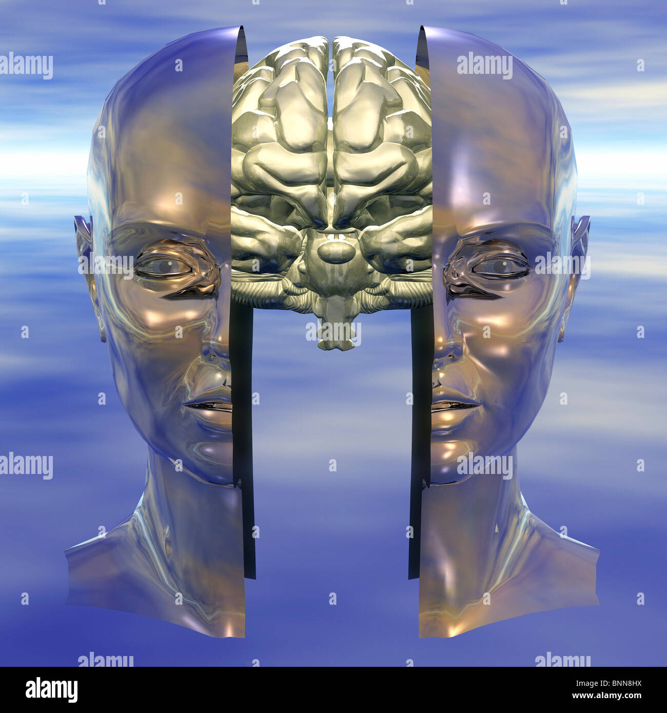 Split brain illustration hi-res stock photography and images - Alamy