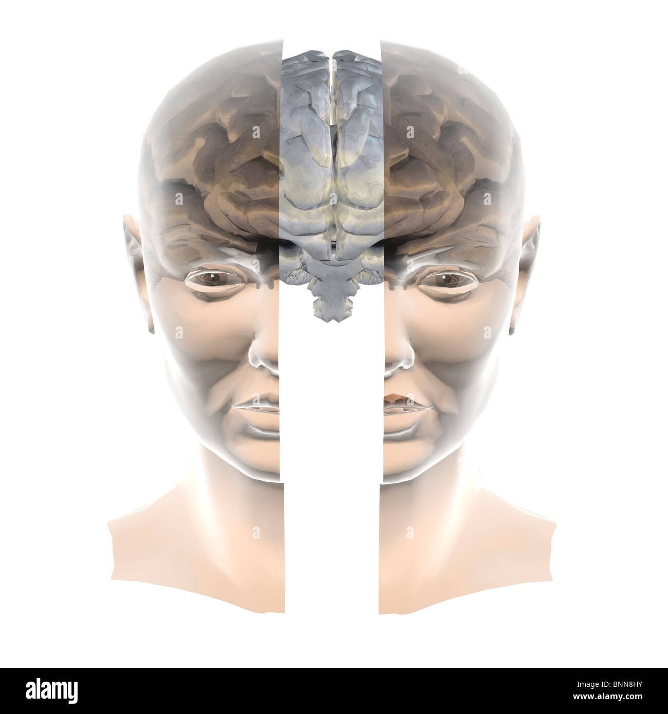 Brain concept split hi-res stock photography and images - Alamy