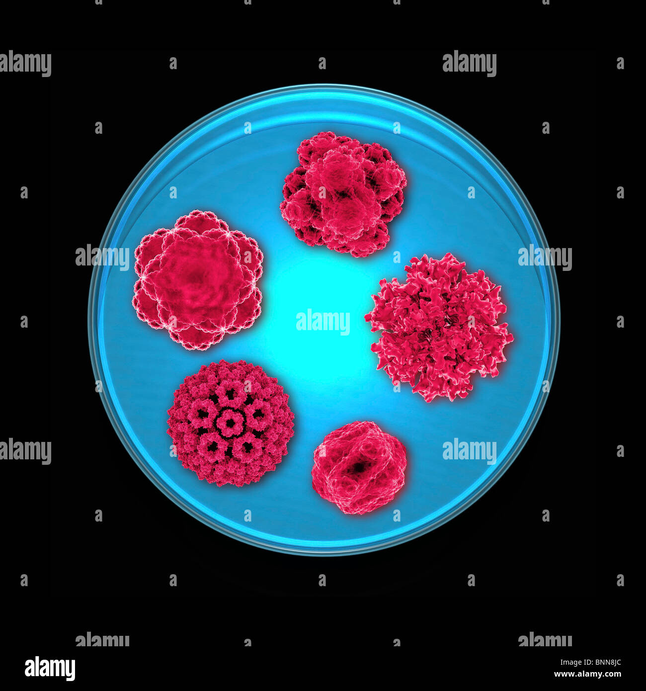 Viral research, conceptual artwork Stock Photo - Alamy