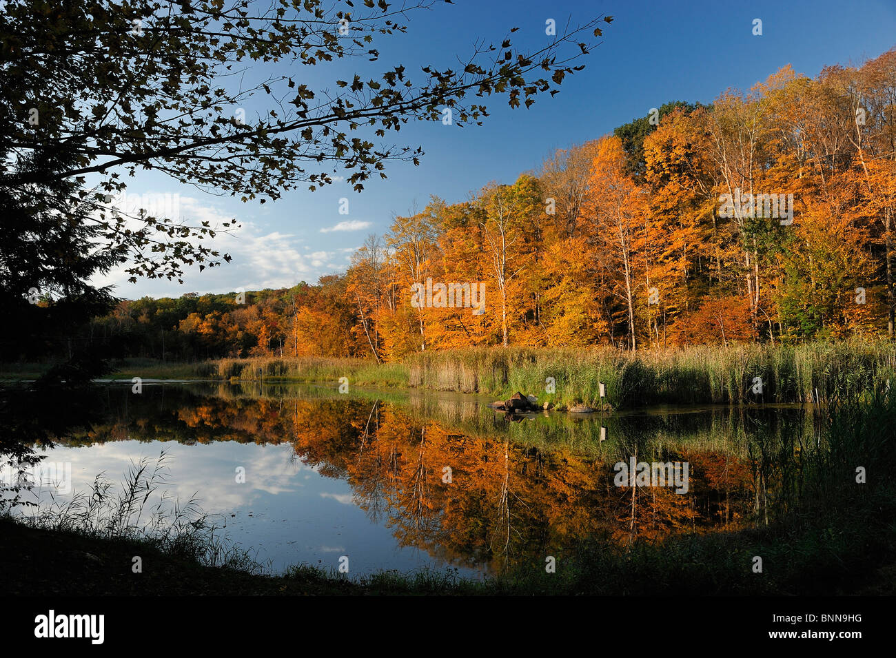 Pond Litchfield Connecticut USA America United States of America fall ...