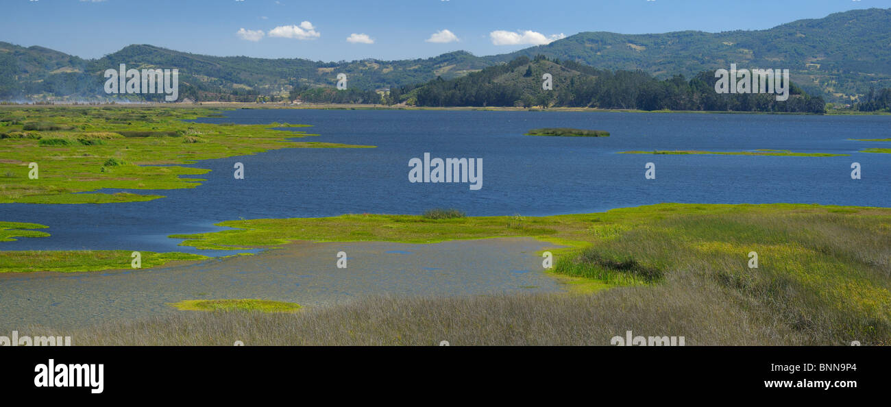 view Laguna de Fuquene Department Cundinamarca Colombia South America ...
