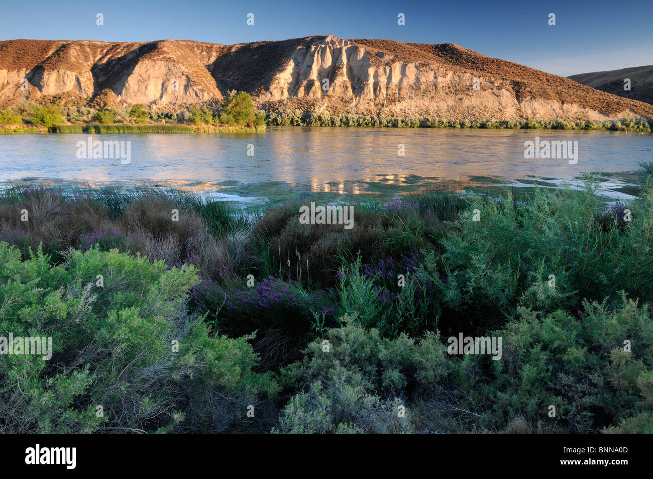Three island crossing state park hi-res stock photography and images ...