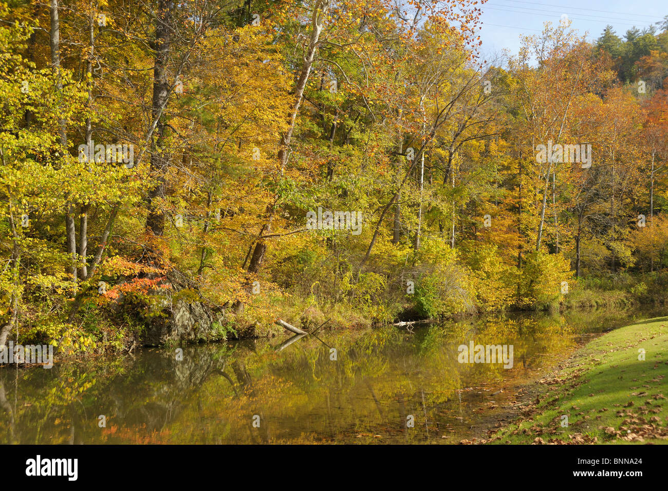 Creek Fall colours colors Natural Bridge State Resort Park Kentucky USA ...