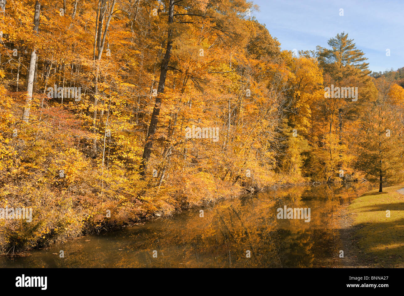 Creek Fall colours colors Natural Bridge State Resort Park Kentucky USA ...