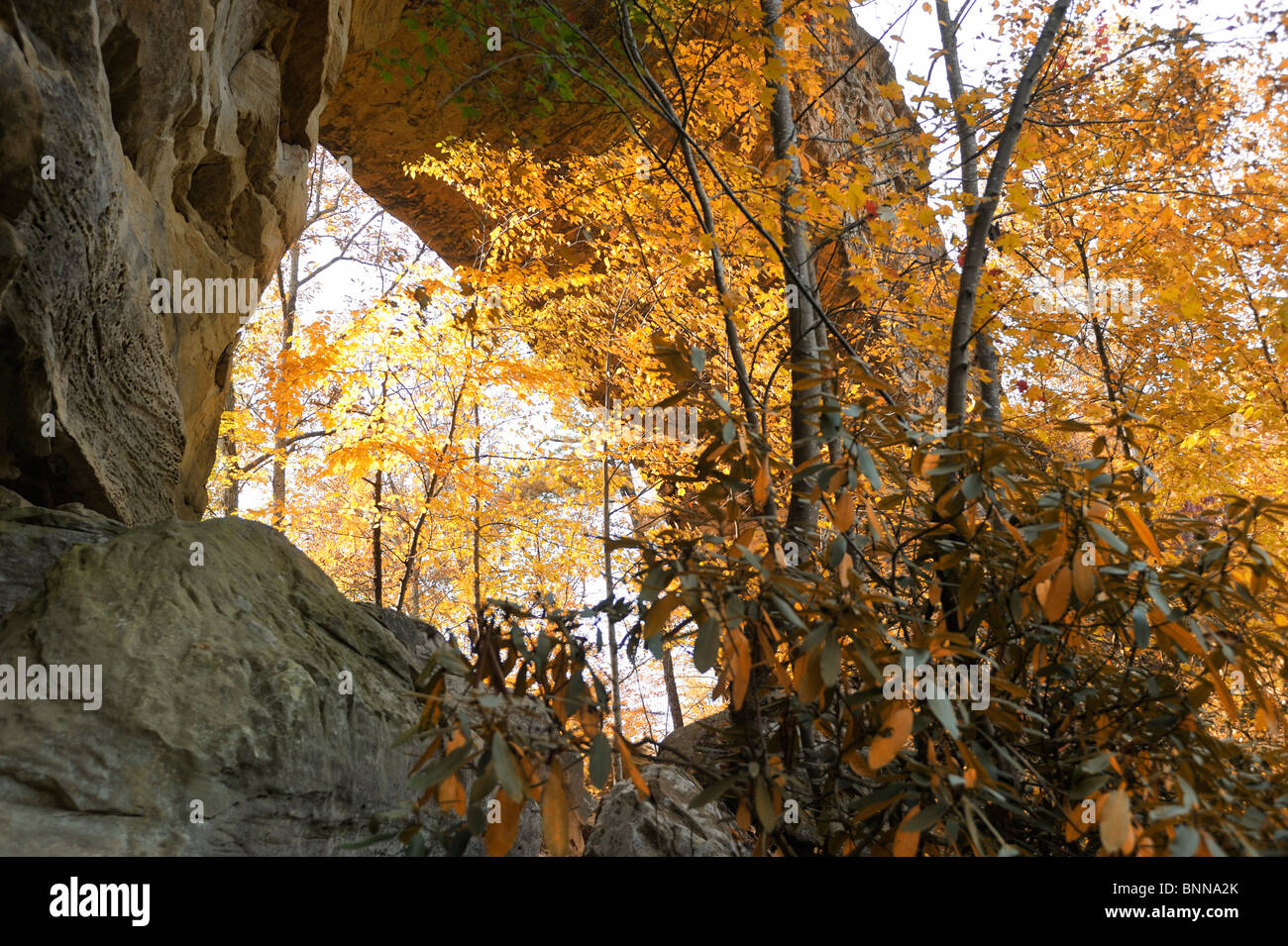 Natural Bridge Natural Bridge State Resort Park Kentucky USA America ...