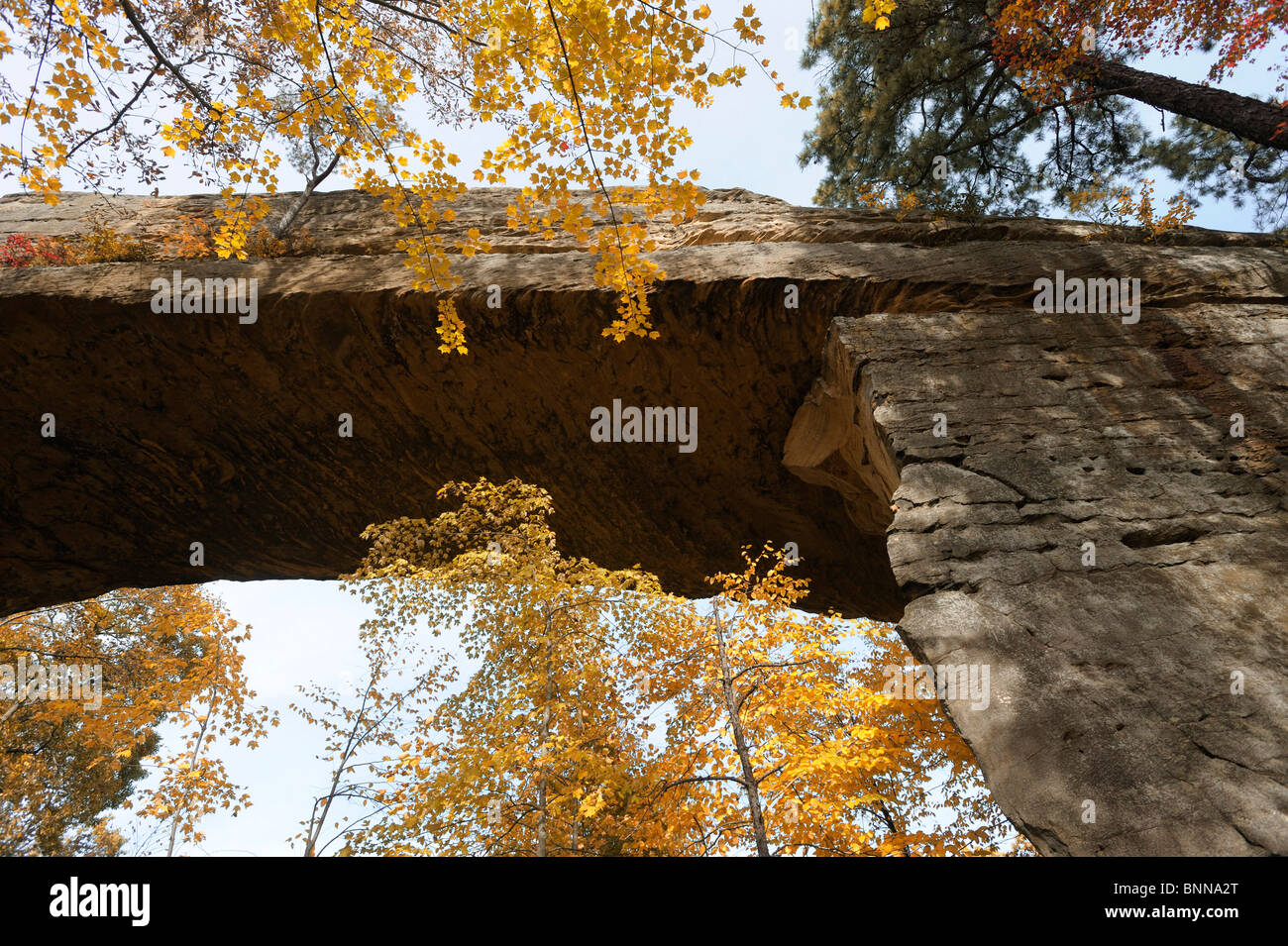 Natural Bridge Natural Bridge State Resort Park Kentucky USA America ...
