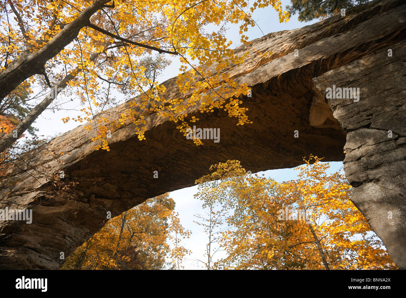 Natural Bridge Natural Bridge State Resort Park Kentucky USA America ...