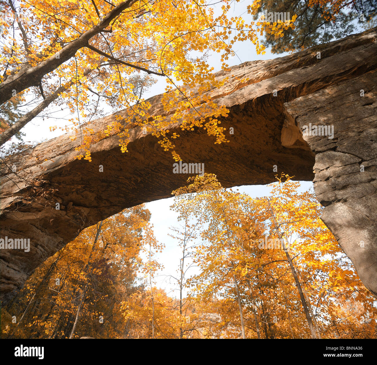 Natural Bridge Natural Bridge State Resort Park Kentucky USA America ...