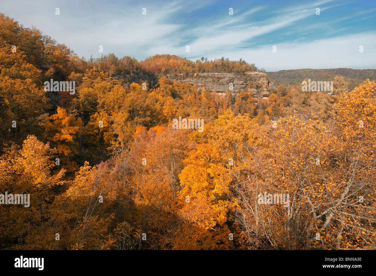 Natural Bridge State Resort Park Kentucky USA America United States of ...