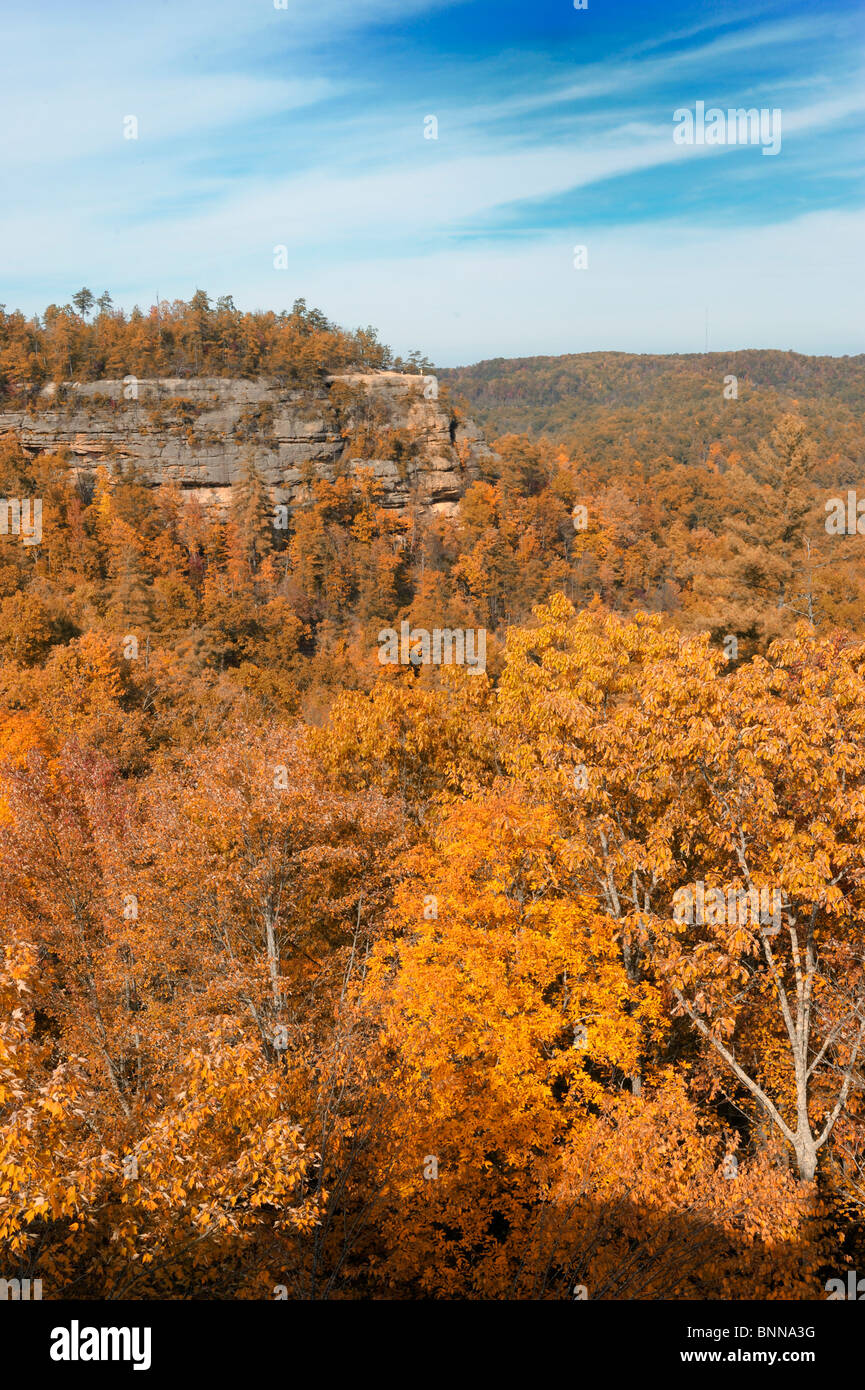 Natural Bridge State Resort Park Kentucky USA America United States of ...