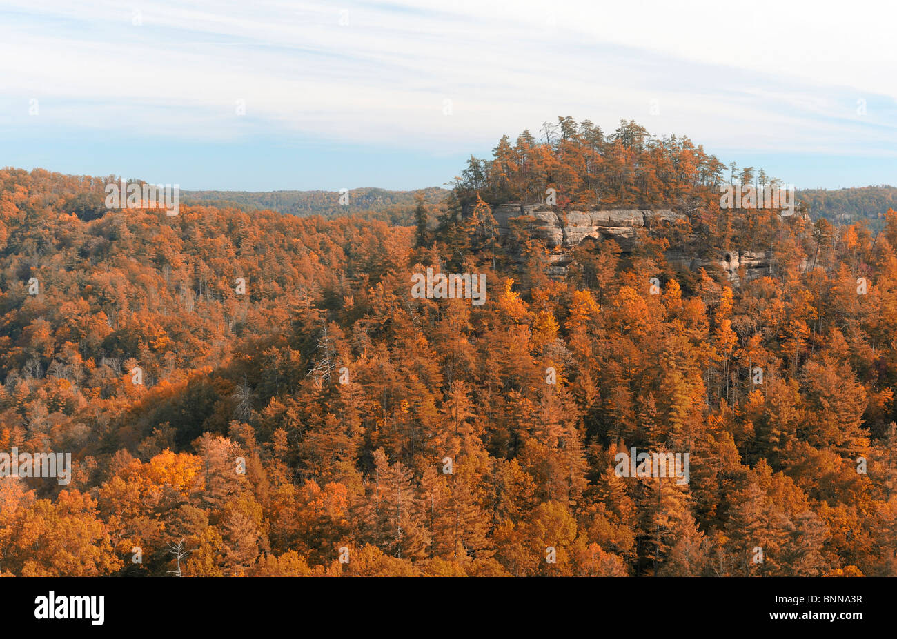 Natural Bridge State Resort Park Kentucky USA America United States of ...