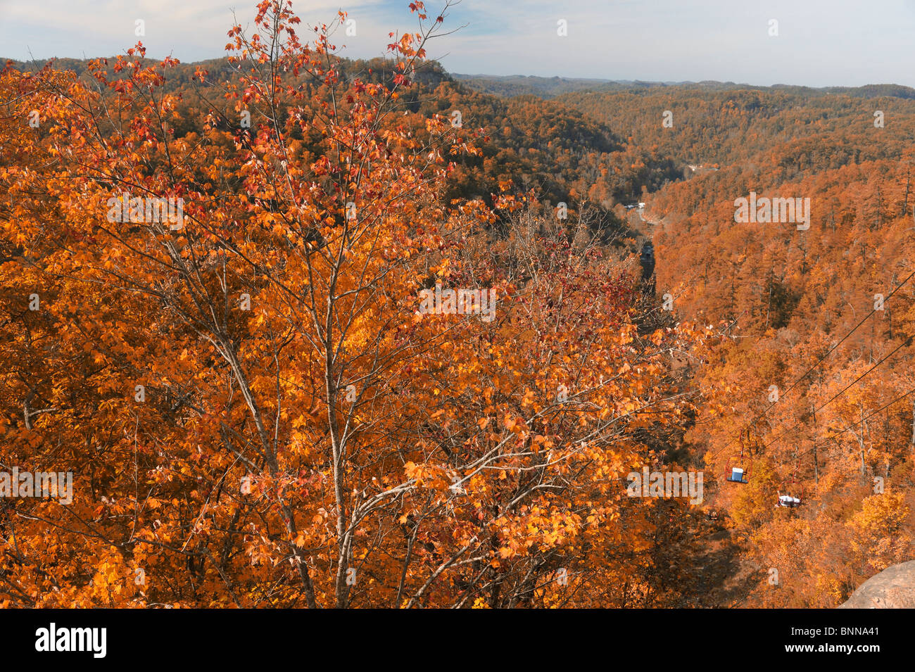 Natural Bridge State Resort Park Kentucky USA America United States of ...