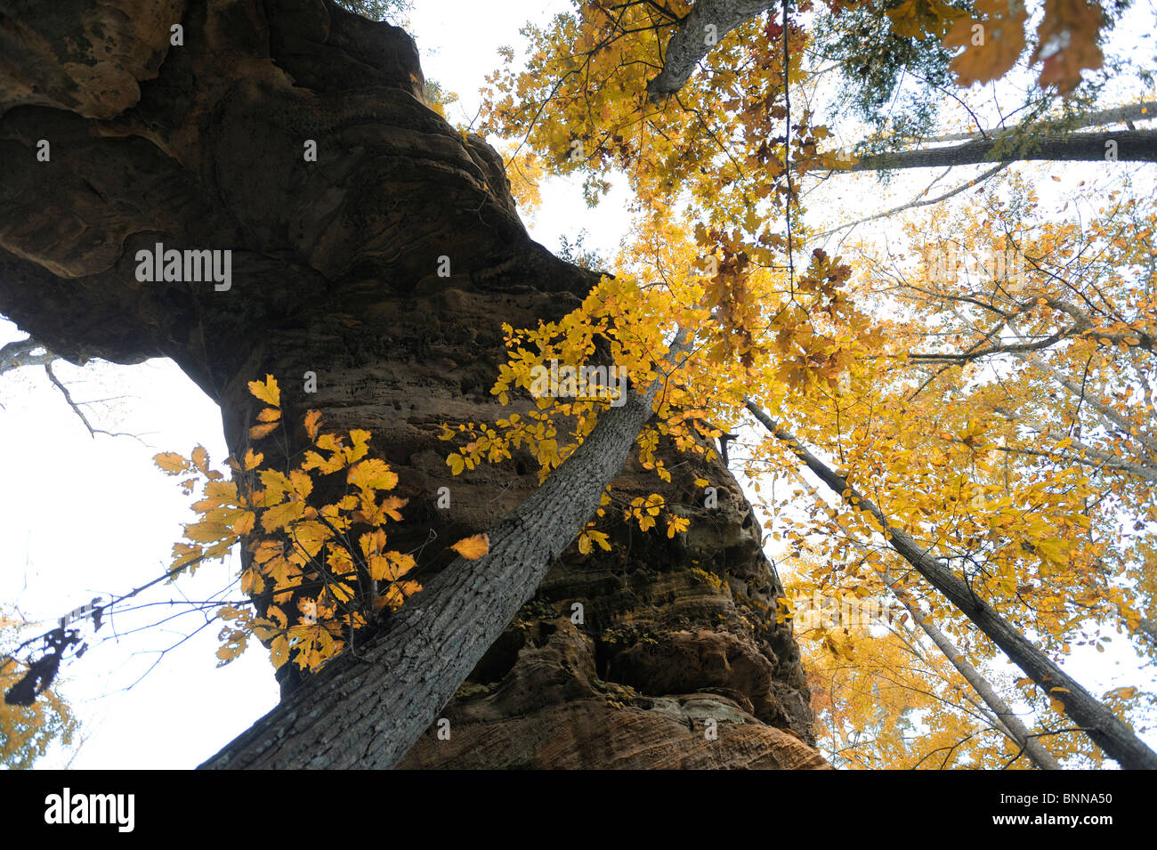 Grays Arch Daniel Boone National Forest The Red River Gorge Geological ...