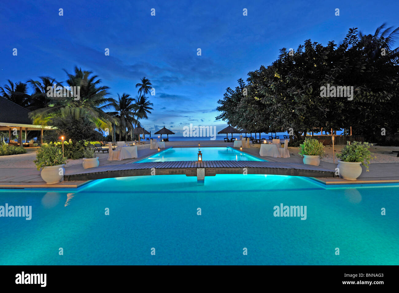 Seychelles the Seychelles Desroches Island pool swimming pool palms at ...