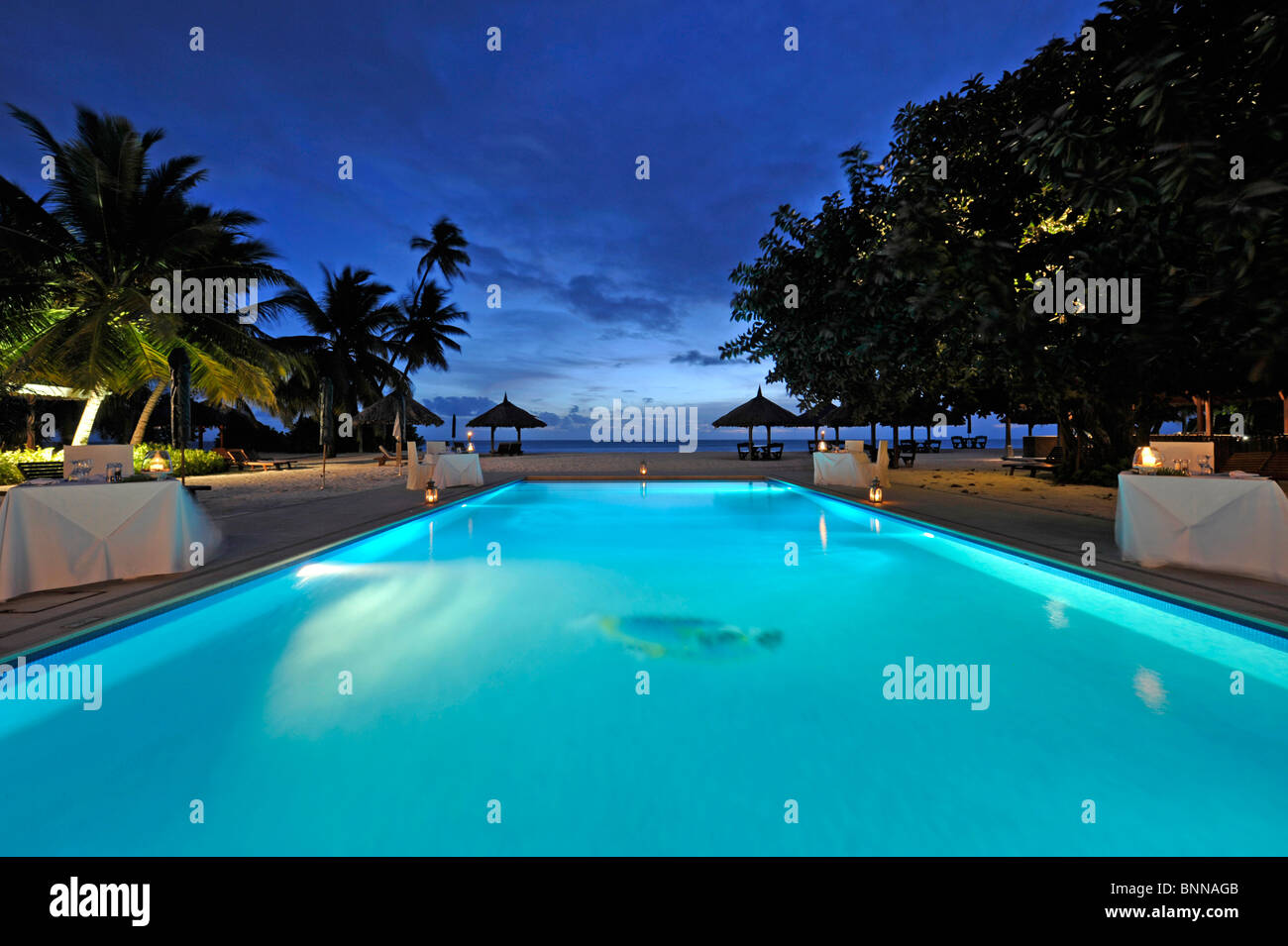 Seychelles the Seychelles Desroches Island pool swimming pool palms at ...