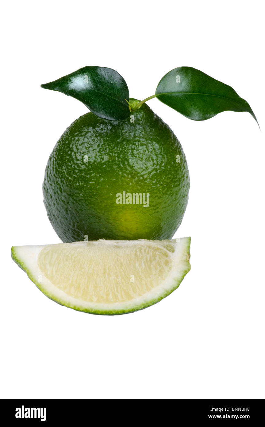 object on white - food lime close up Stock Photo - Alamy