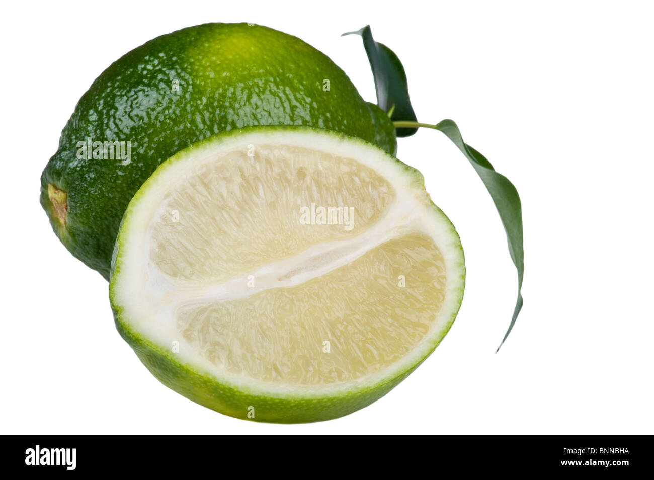 object on white - food lime close up Stock Photo - Alamy