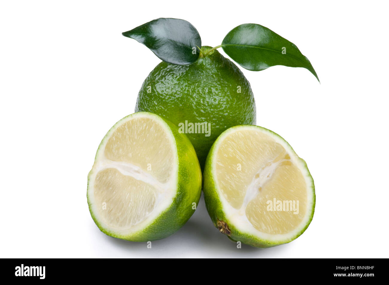 object on white - food lime close up Stock Photo - Alamy