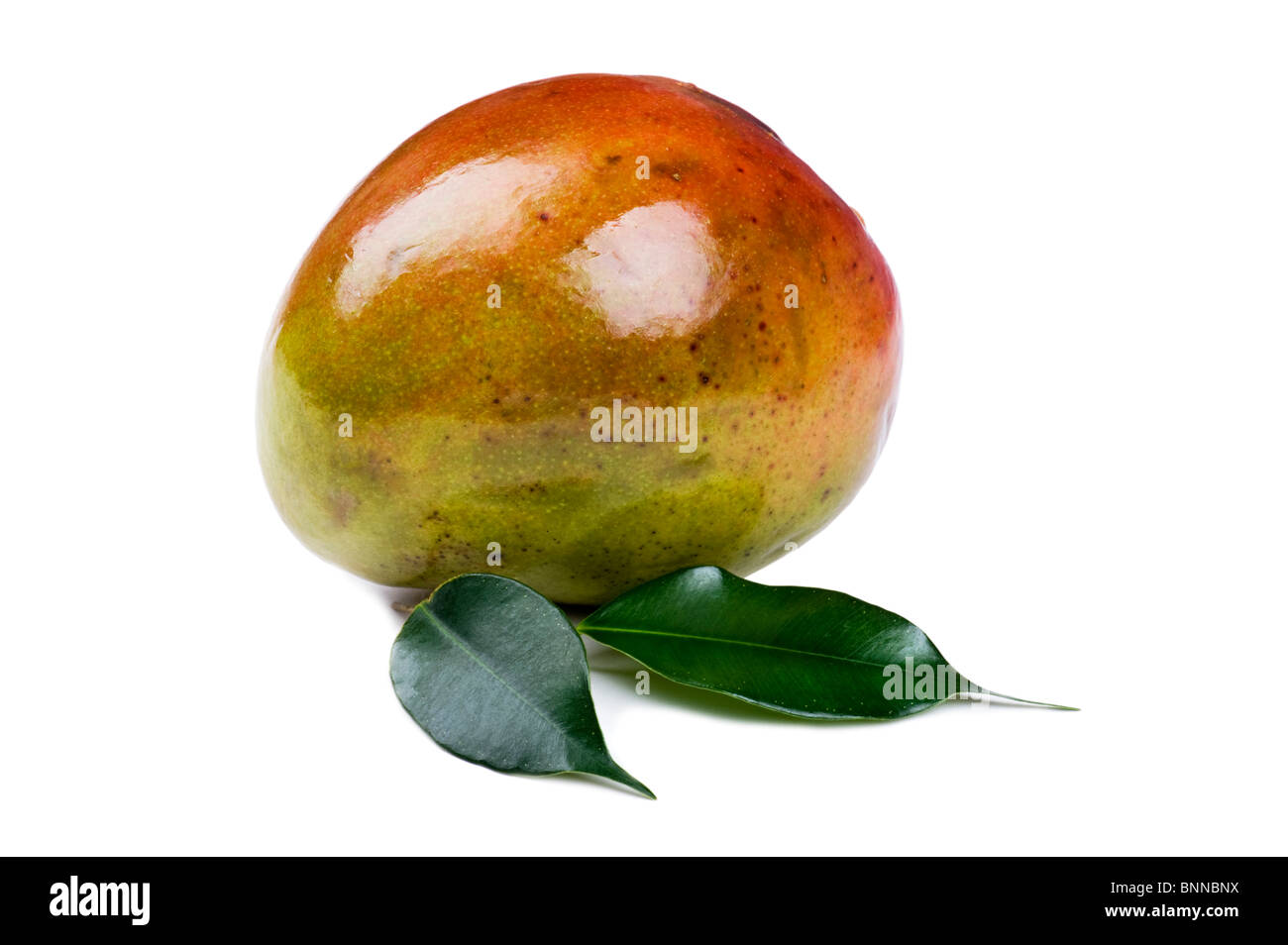 object on white - food mango close up Stock Photo - Alamy