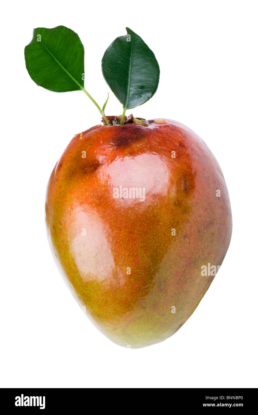 object on white - food mango close up Stock Photo - Alamy