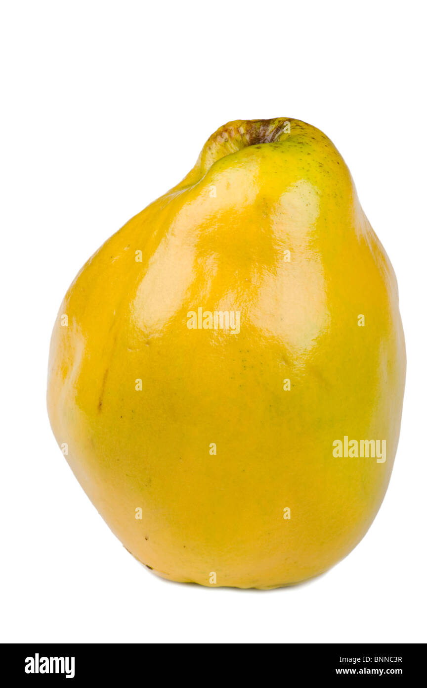 object on white - food quince close up Stock Photo - Alamy