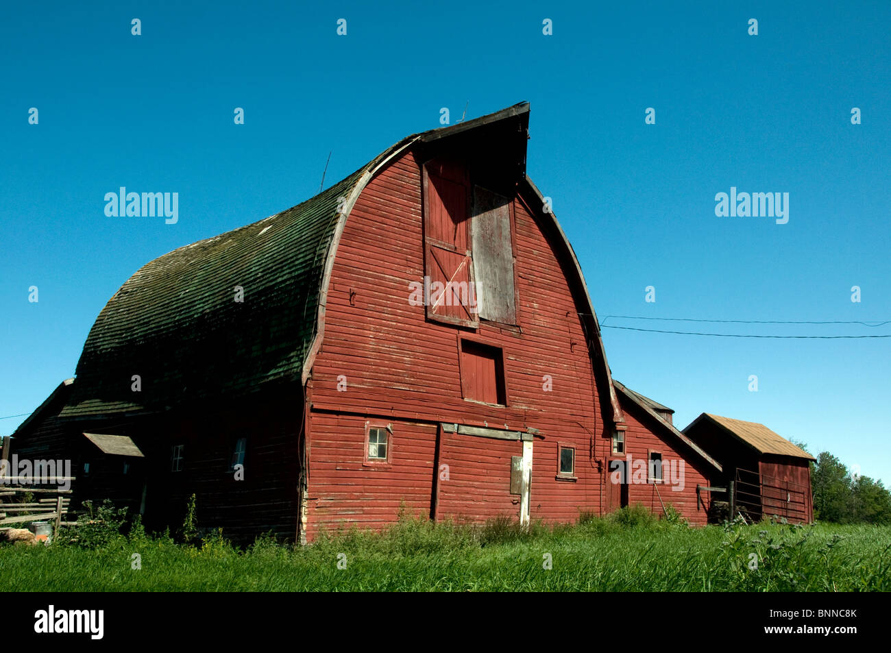 pioneer barn 1919 tisdale saskatchewan Canada red old Stock Photo - Alamy