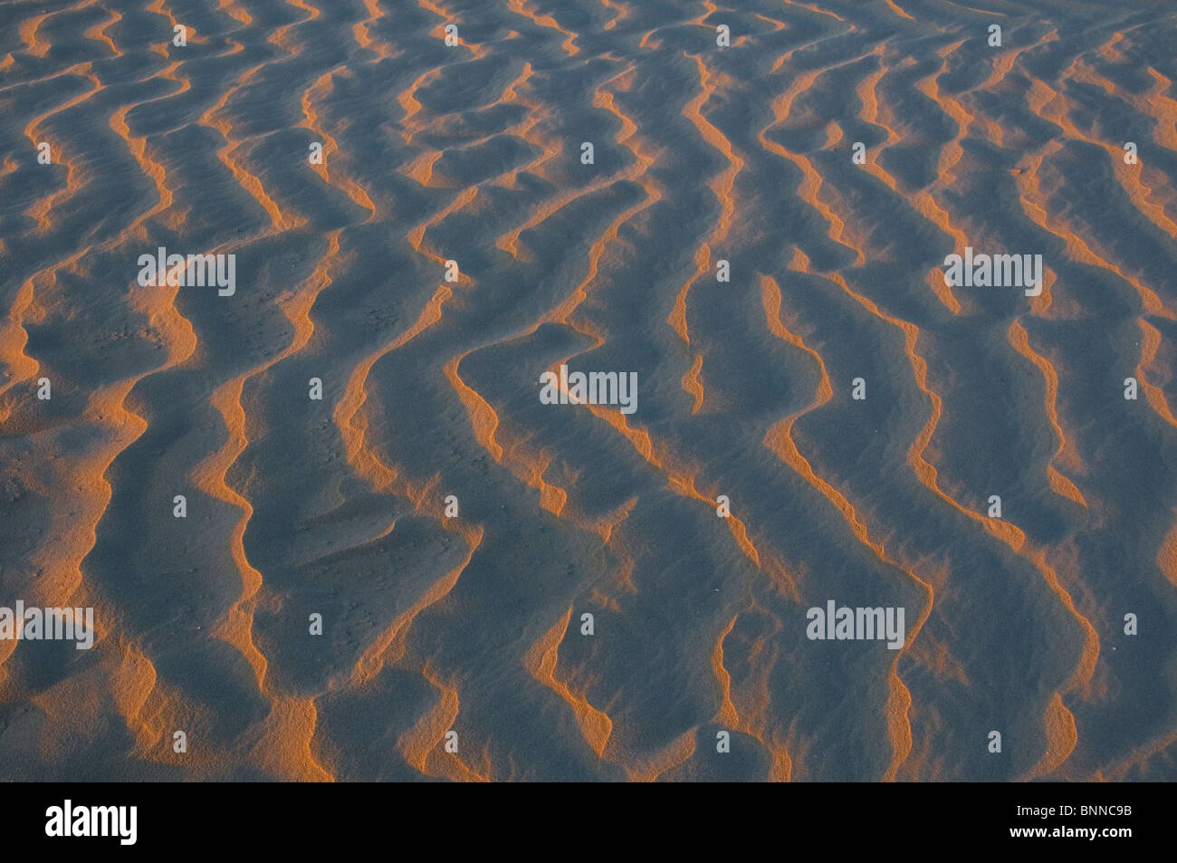 Saskatchewan canada sand dunes hi-res stock photography and images - Alamy