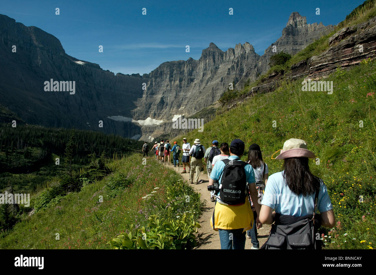 ranger guided hike glacier National Park USA Montana group mountain ...