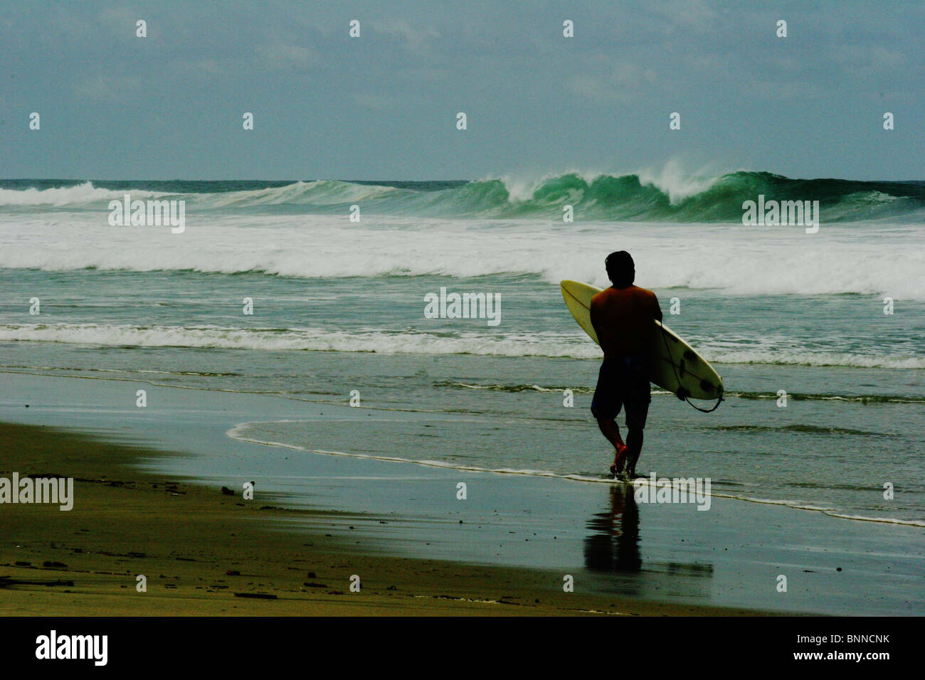 Surfer getting ready to paddle out Stock Photo - Alamy