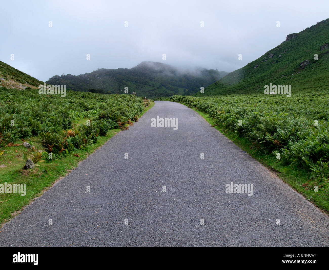 Valley of rocks devon hi-res stock photography and images - Alamy
