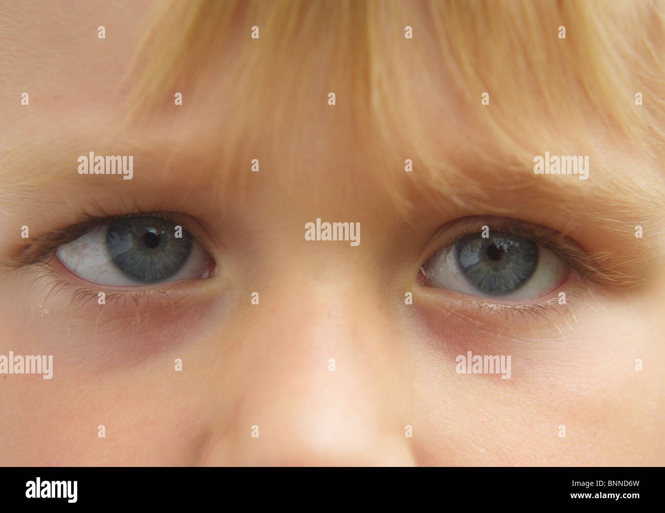 Close up of child boy eye Stock Photo - Alamy