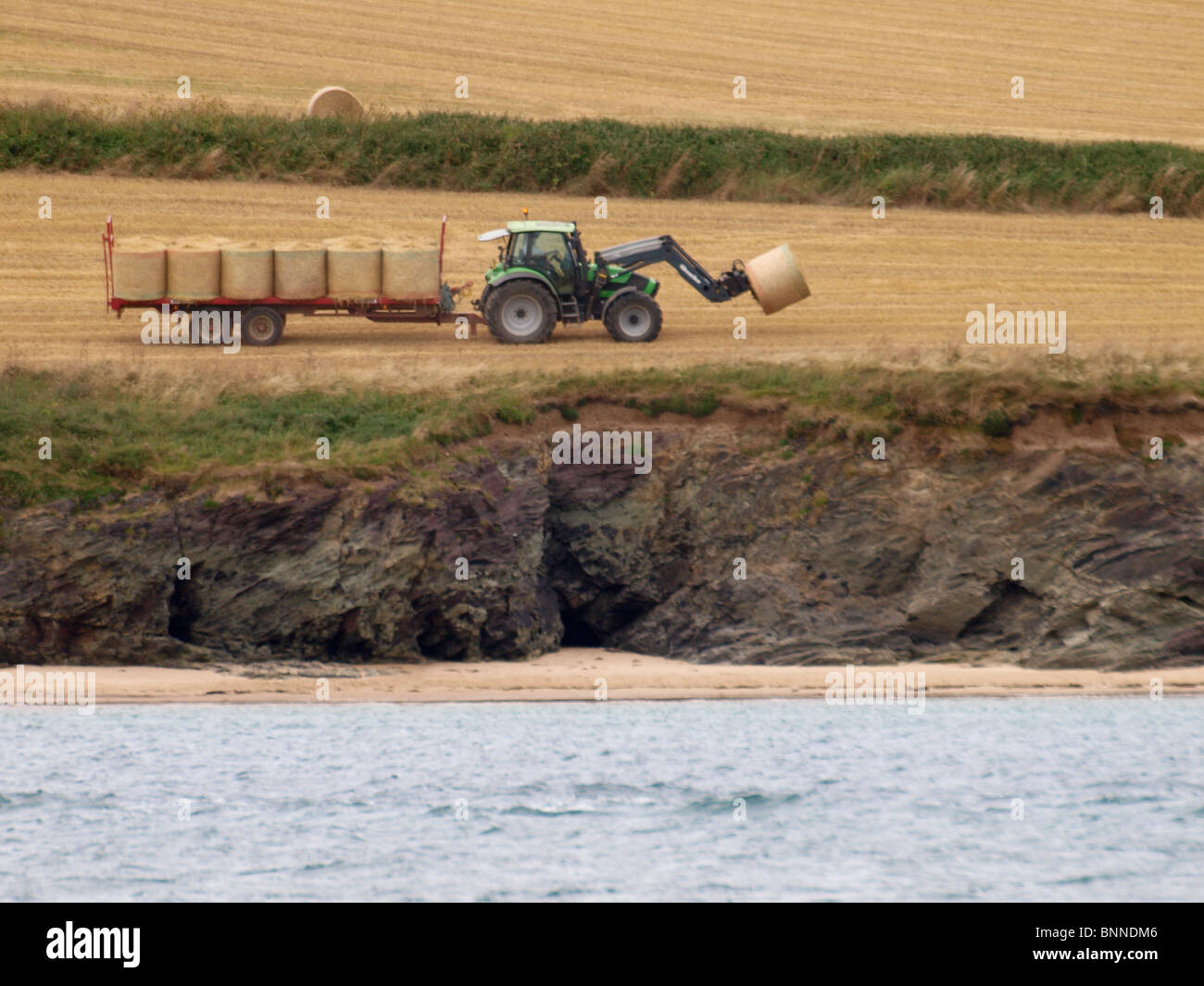 Coastal farming, Padstow, Cornwall, UK Stock Photo - Alamy