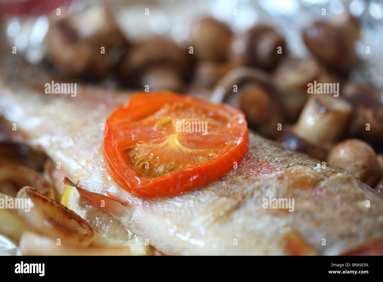 Fat yellow fish red hi-res stock photography and images - Alamy