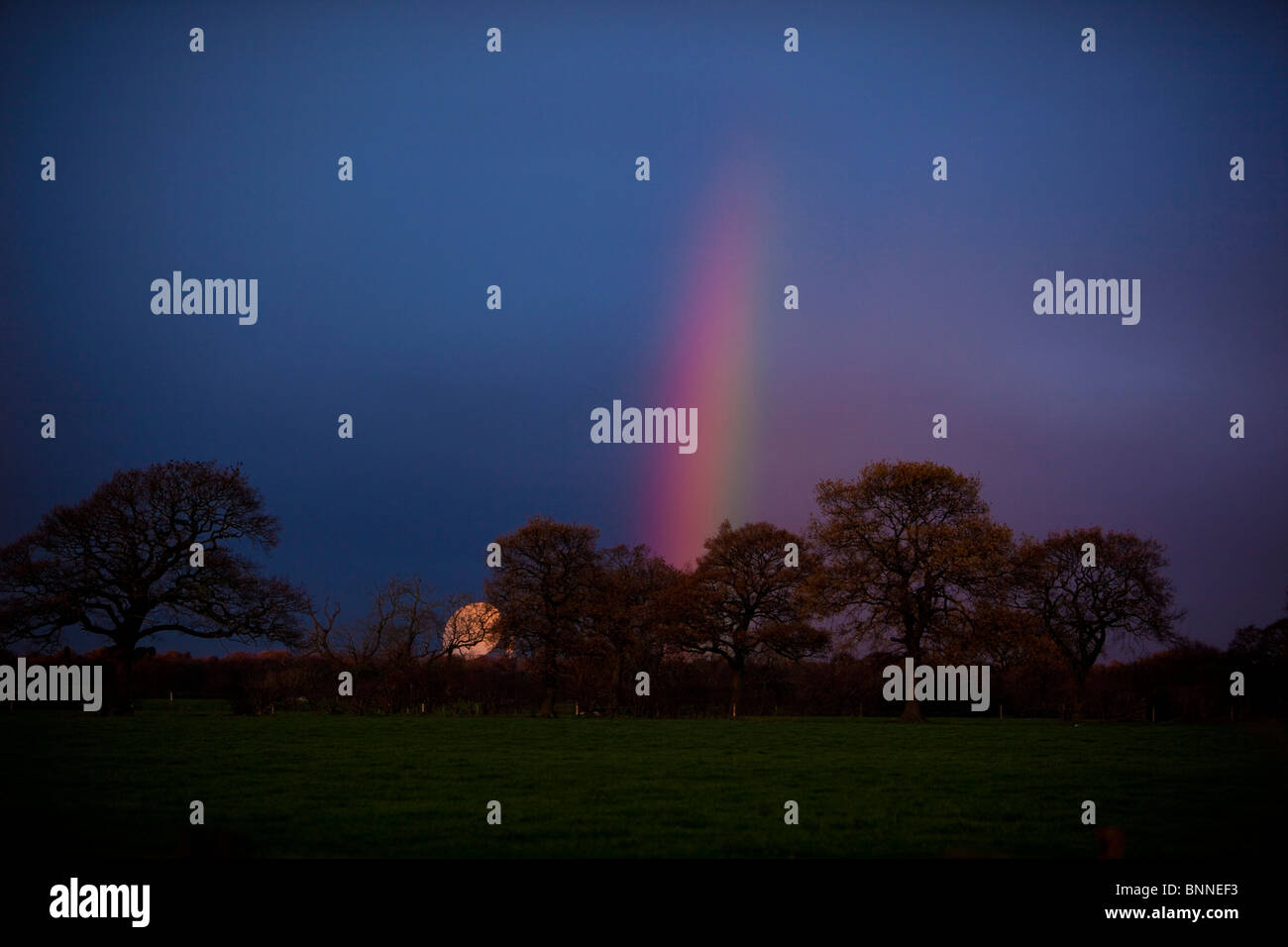 Rainbow against Trees a strong rainbow Stock Photo - Alamy