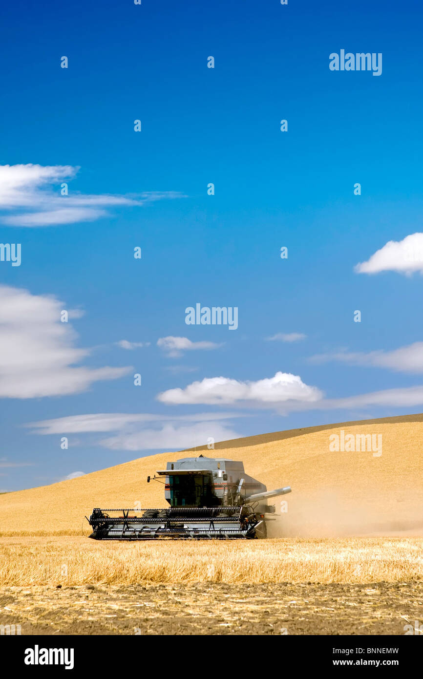 Combine harvesting hi-res stock photography and images - Alamy