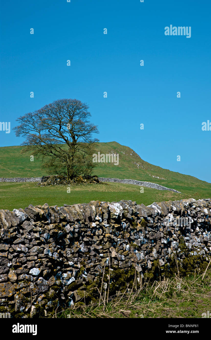 dale landscape with dry stone wall Stock Photo - Alamy