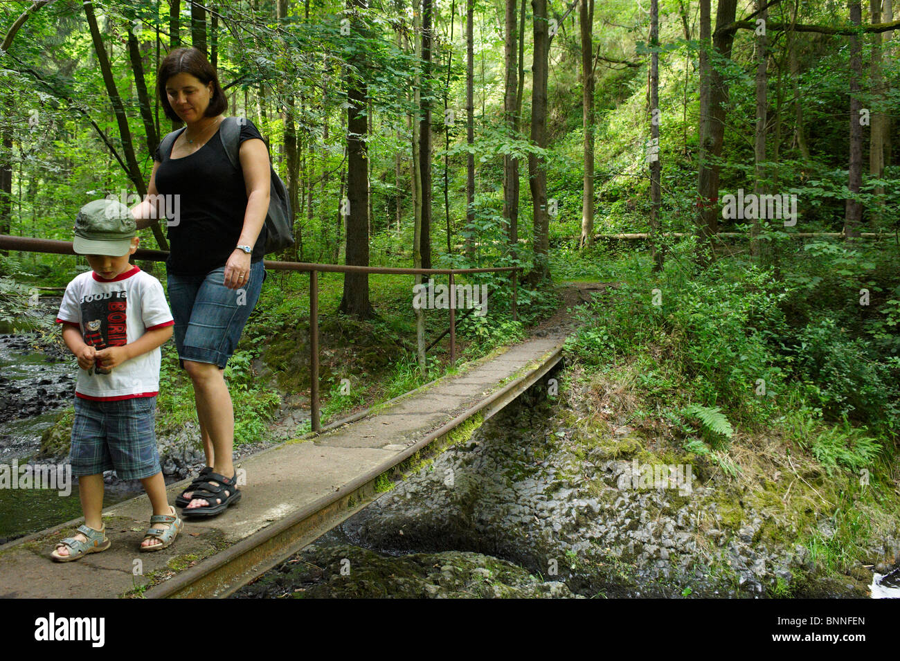 Stream flowing through forest Stock Photo - Alamy Stream flowing through forest Stock Photo - Alamy
