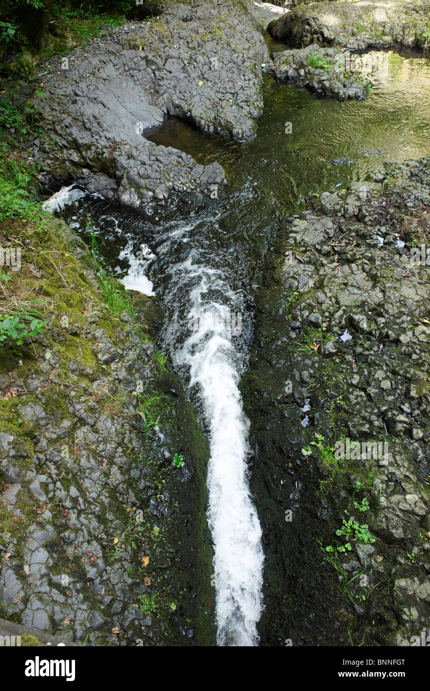 Stream flowing through forest Stock Photo - Alamy Stream flowing through forest Stock Photo - Alamy