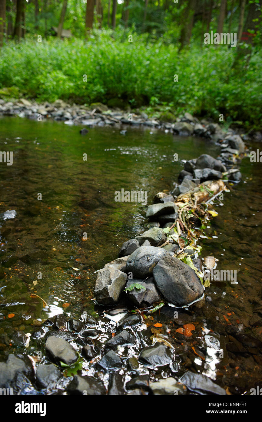 Stream flowing through forest Stock Photo - Alamy