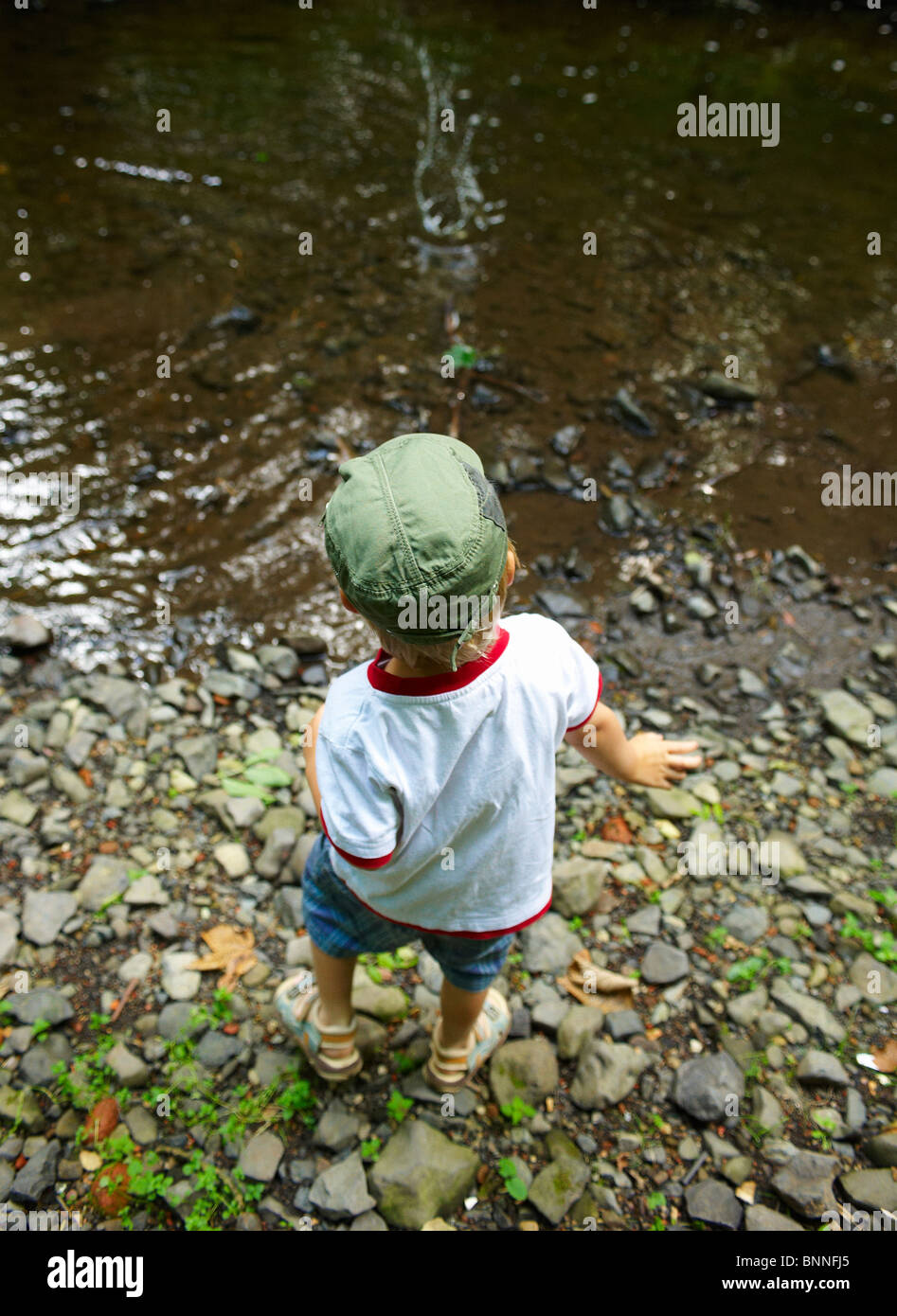 Stream flowing through forest Stock Photo - Alamy Stream flowing through forest Stock Photo - Alamy