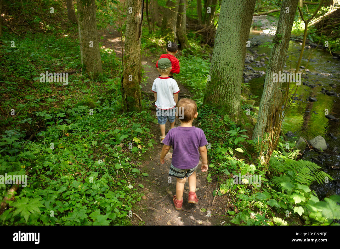 A children group of boys walking, wandering, trekking, playing in the ...